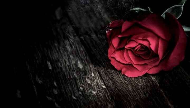 Inikah Alasan Mengapa Jin Jatuh Cinta pada Manusia?