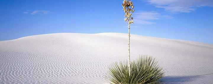Dahsyatnya Padang Mahsyar