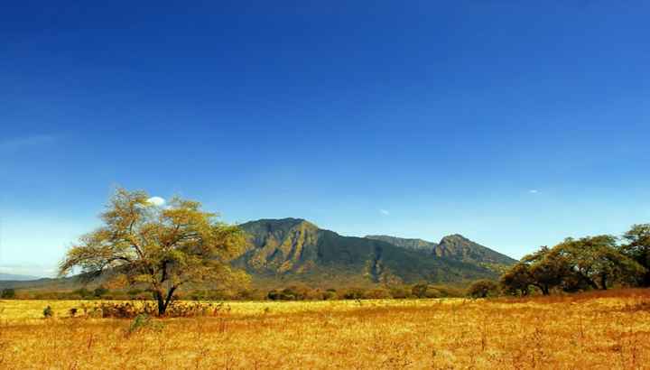 Taman Nasional Baluran: Africa Van Java dengan Pesona Panorama Alam ...