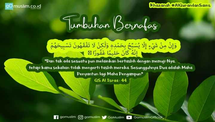 Begini Penjelasan Alquran Tentang Fenomena Tumbuhan Bertasbih