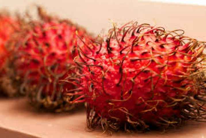 Manfaat Kesehatan Buah Rambutan